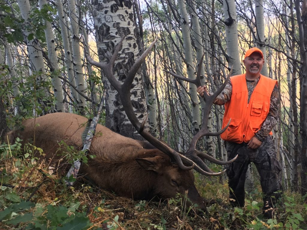 Colorado Elk Hunt 10208