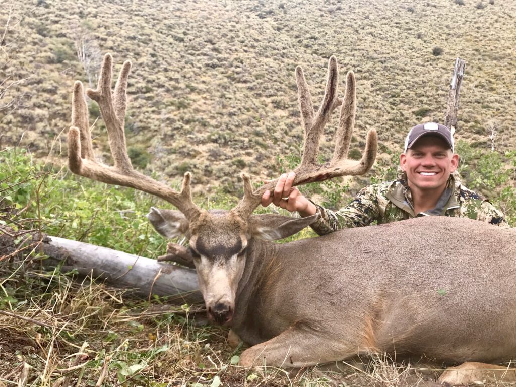 Utah Mule Deer Hunt 10455