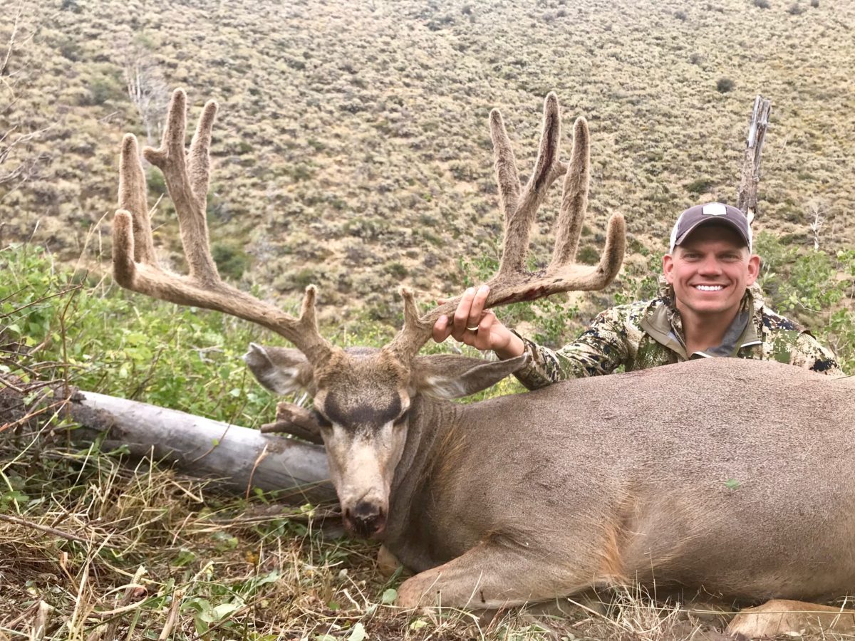 Utah Mule Deer Hunt 10455