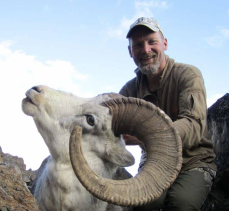 British Columbia Stone Sheep 10674