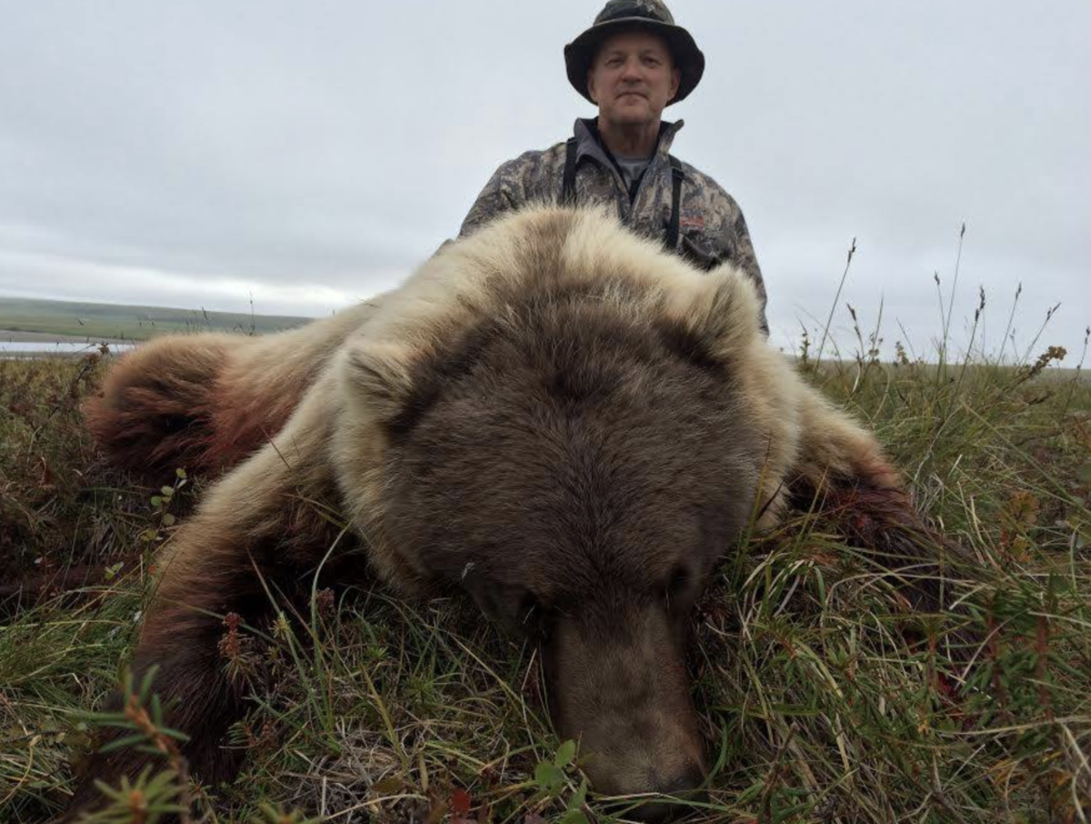 Alaska Grizzly Bear Hunt 10505