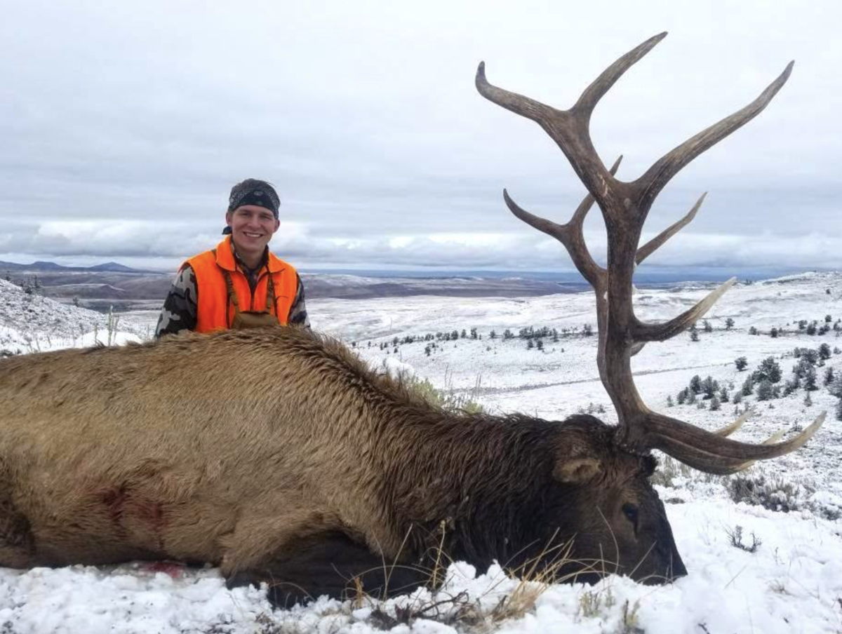 Wyoming Elk Hunt 10631