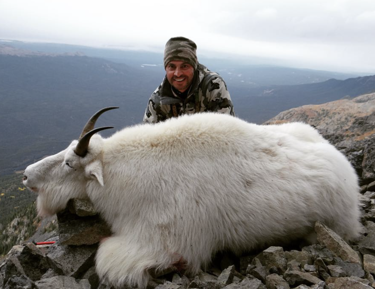 British Columbia Stone Sheep Hunt 10667