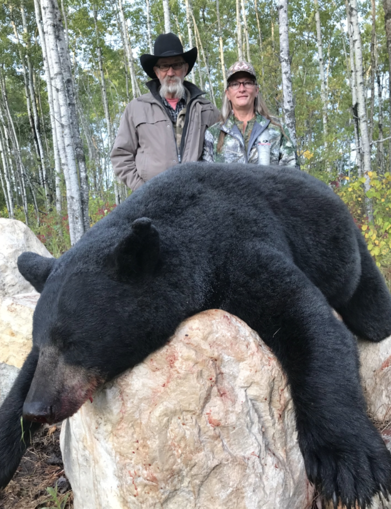 Manitoba Black Bear Hunt 10154