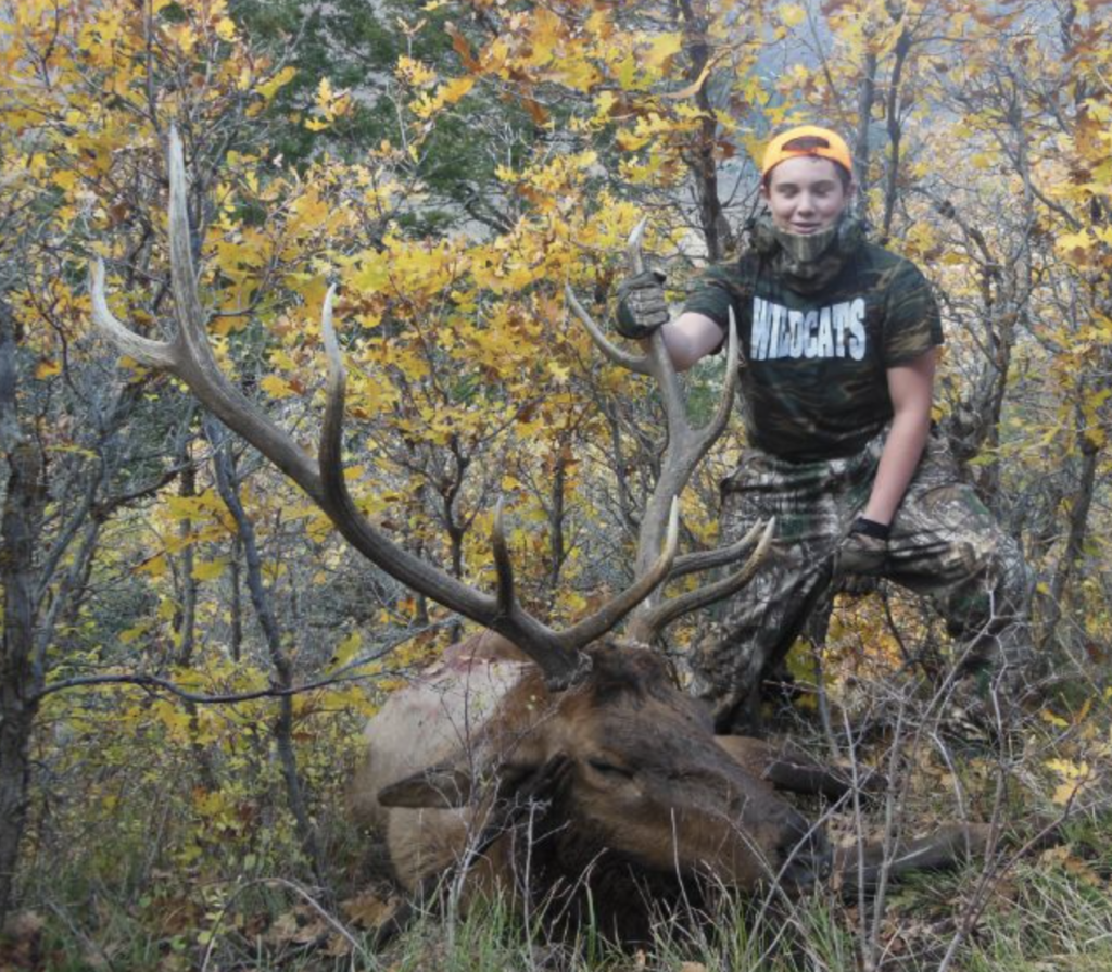 Colorado Cow Elk Hunt 10436