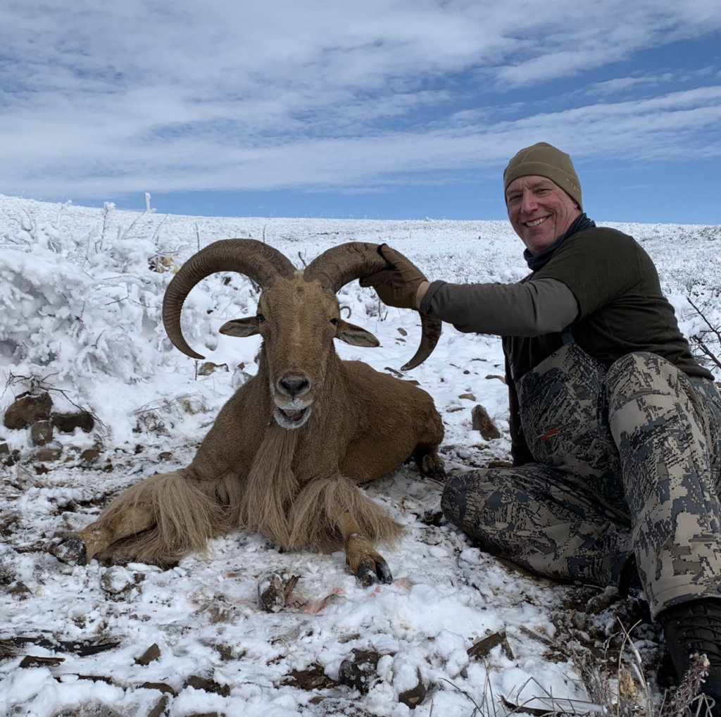 New Mexico Aoudad Hunt 10712
