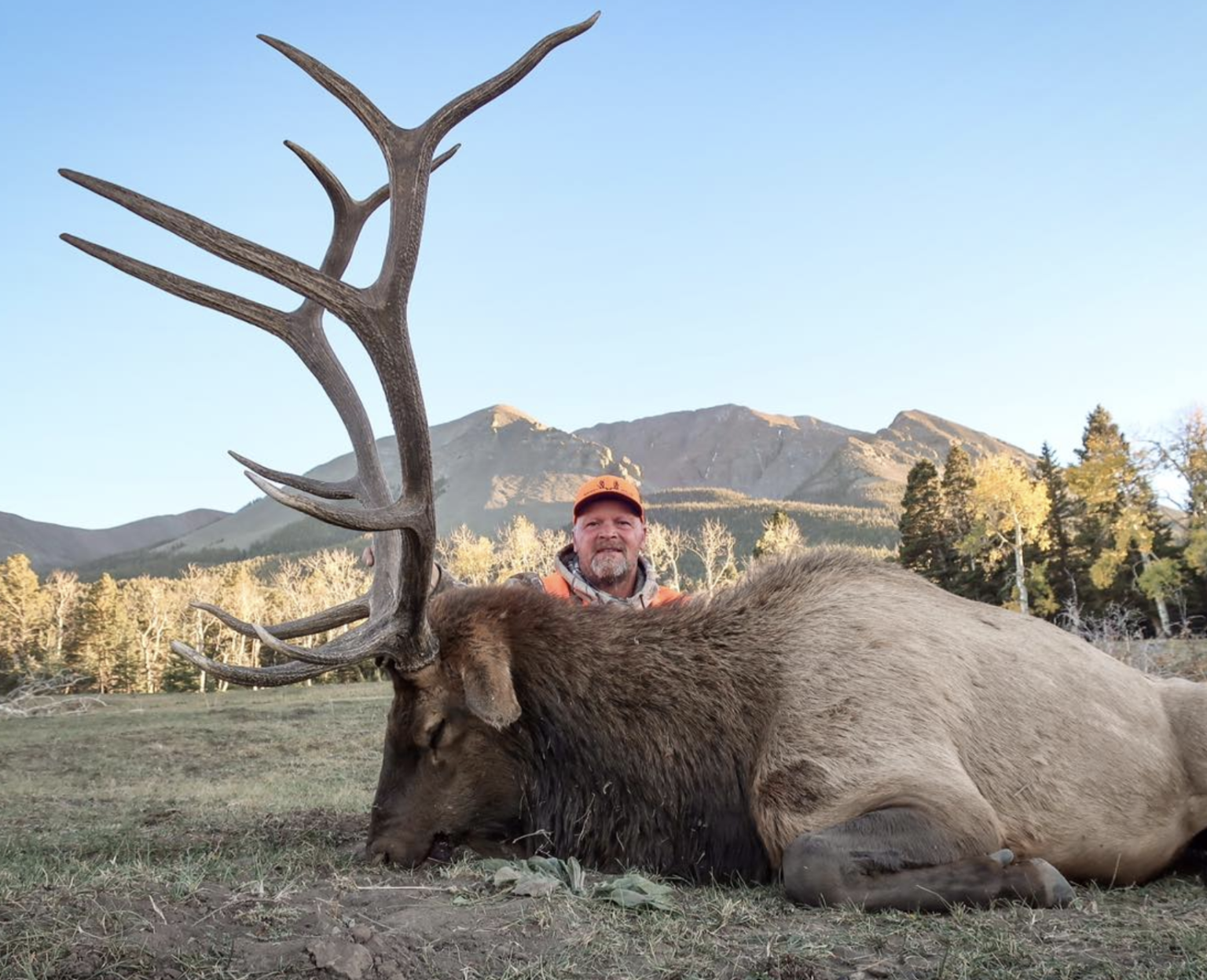 Colorado Elk Hunt 10715