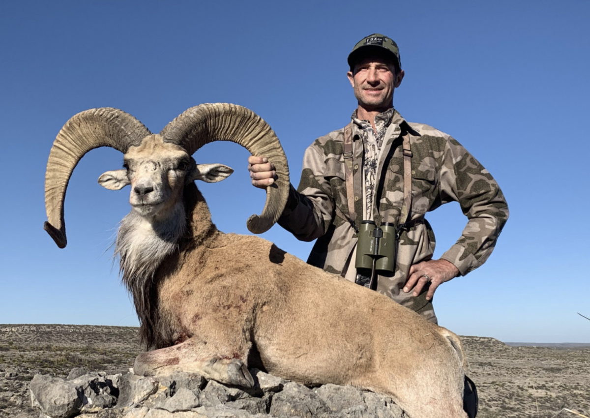 Texas Aoudad Hunt 10737