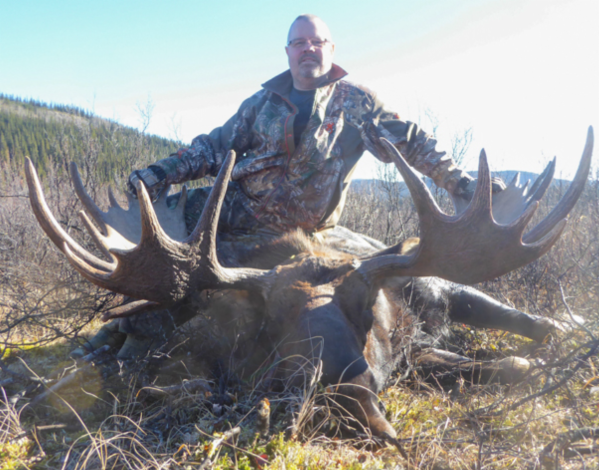 British Columbia Moose