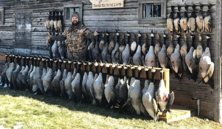 Canada Waterfowl