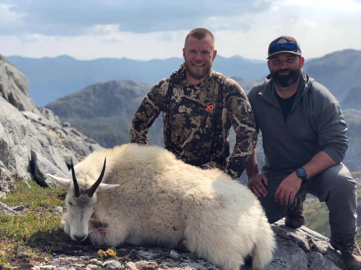 Alaska Mountain Goat 10800