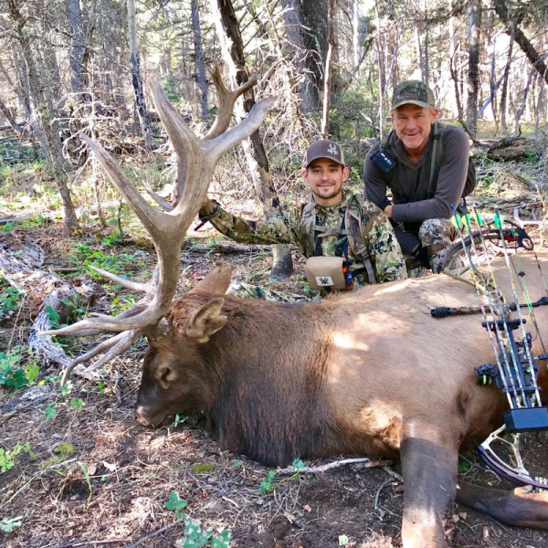 Colorado Archery Elk